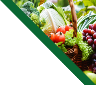 HorizonScan Features